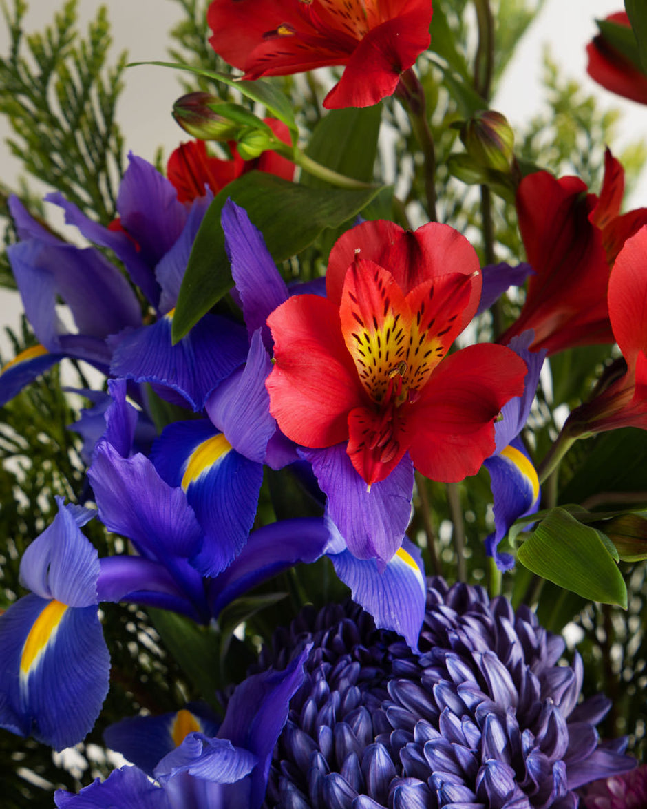 Fresh Flowers for Every Occasion | Fig & Bloom