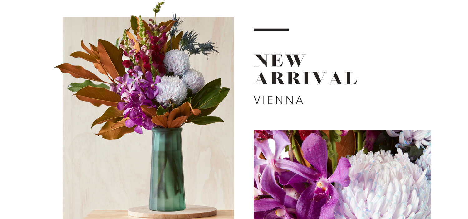 Fig & Bloom | Flowers, Plants & Gifts | Same Day Flower Delivery